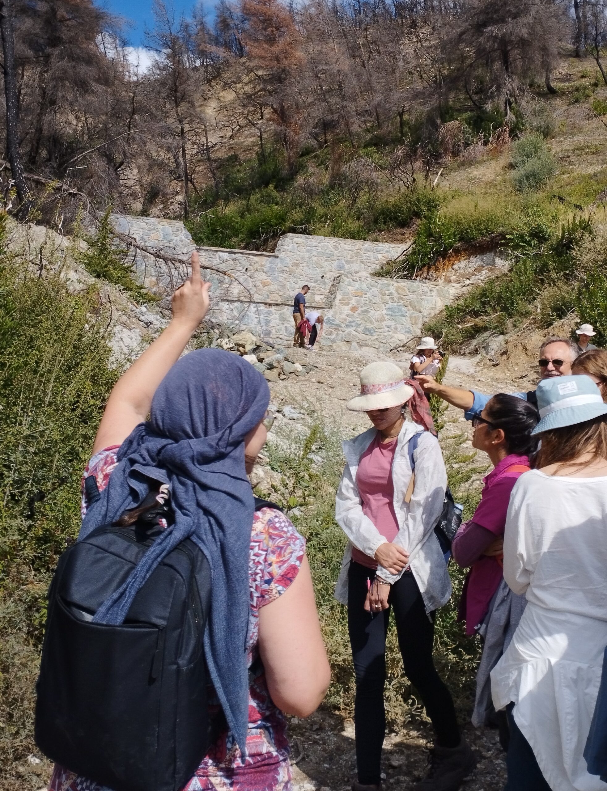 Facing Fire – Service-Learning to improve wildfire management in ...